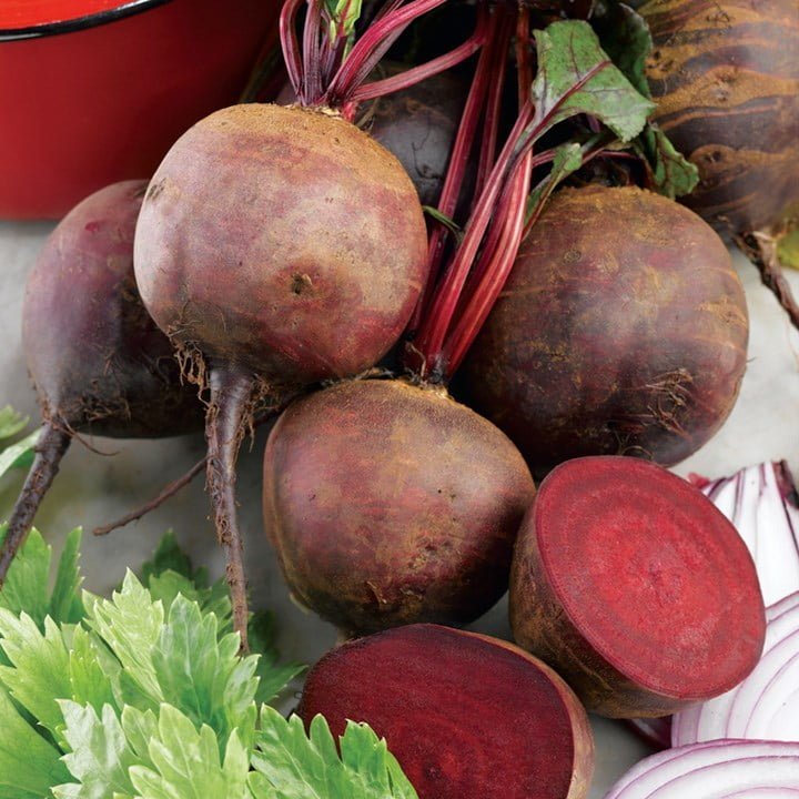 Beet Roots Seeds - Sky Seed Store