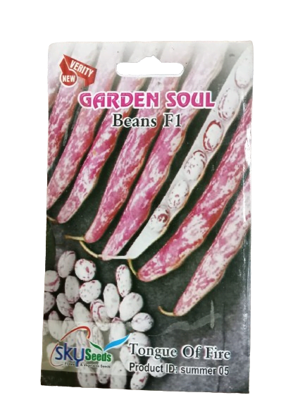 Tongue of of fire Beans in Pakistan - SKY SEEDS 2024