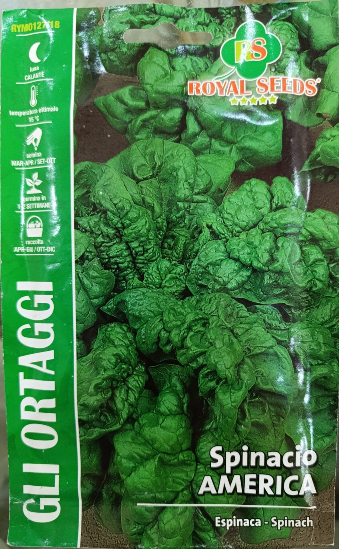 Spinach Seeds America - Sky Seed Store