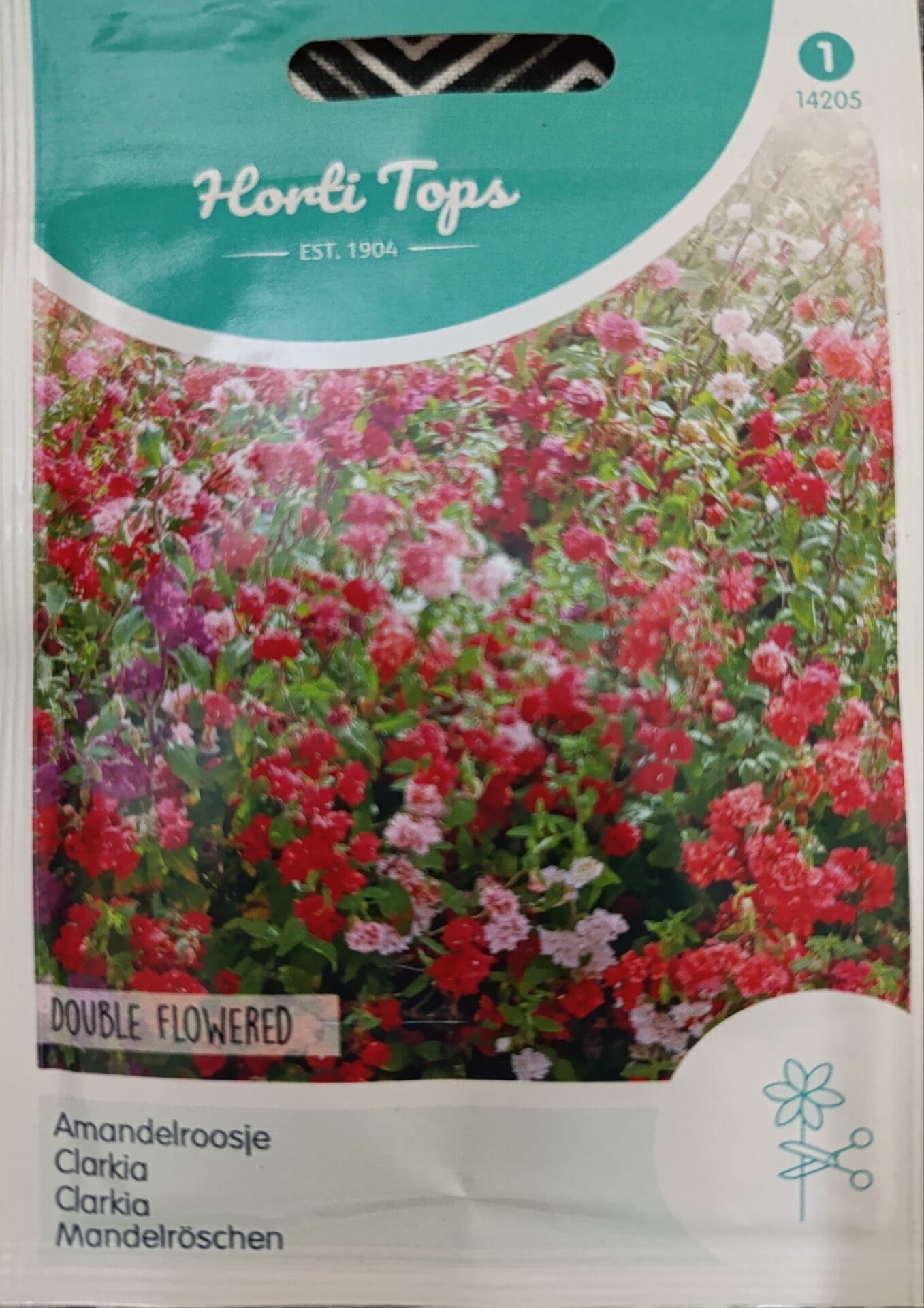 Clarkia Double Flowers Mixed Seed - Sky Seed Store